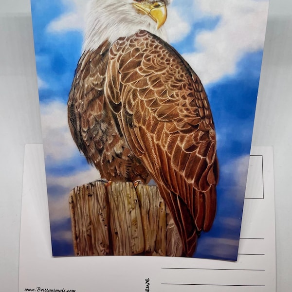 Adler - Etsy.de