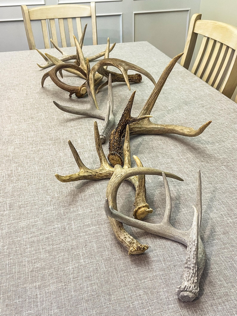 Natural White-tail Deer Antlers. ANY SIZE. Crafting, Decorations and so ...