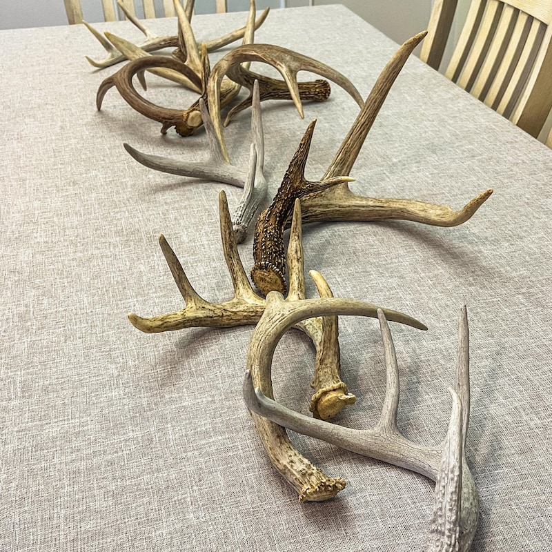 Antler Shed Ornament - Etsy Canada