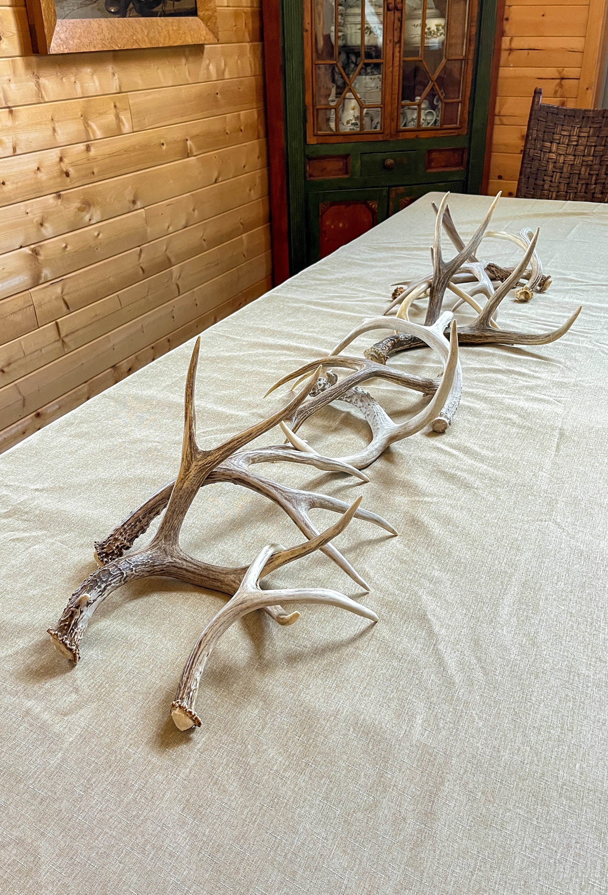 Natural Mule Deer Antlers. FRESH Finds ANY SIZE. Crafting. - Etsy Canada
