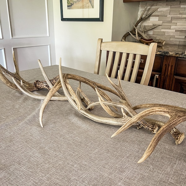 Deer Antler Decor - Etsy