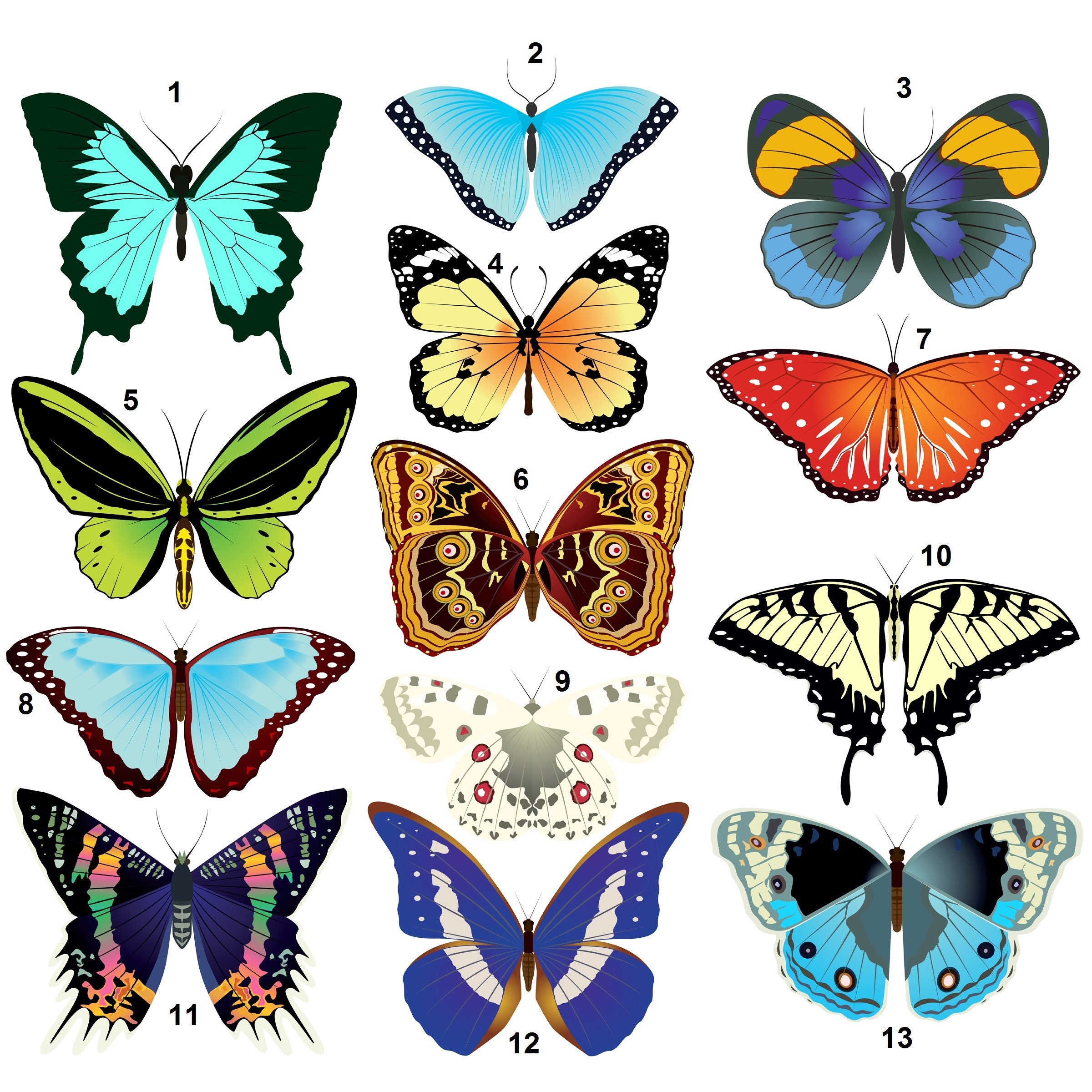 80-small-personalized-return-address-labels-butterfly-re-87-etsy