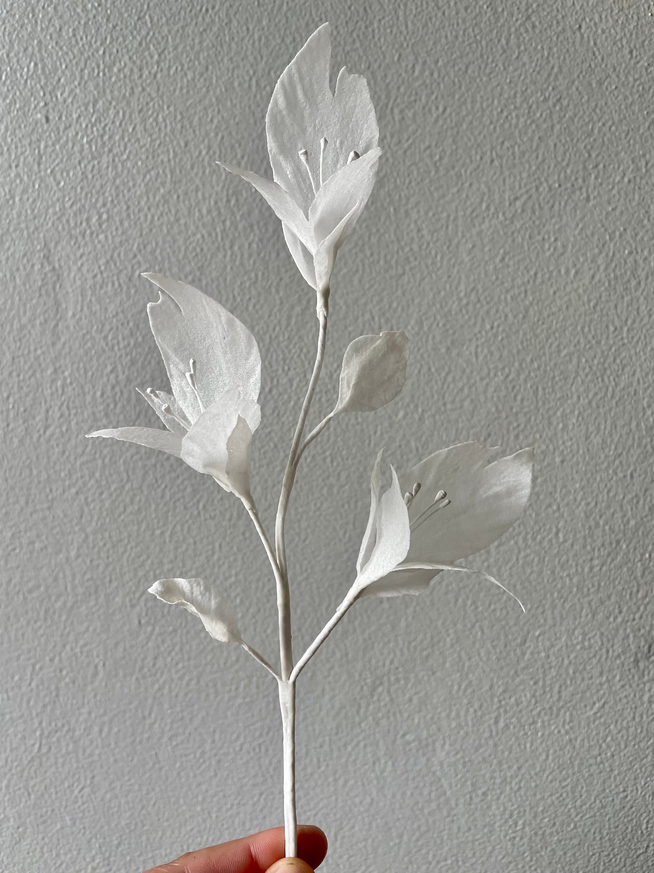 Wafer Paper Flower Branch - Etsy