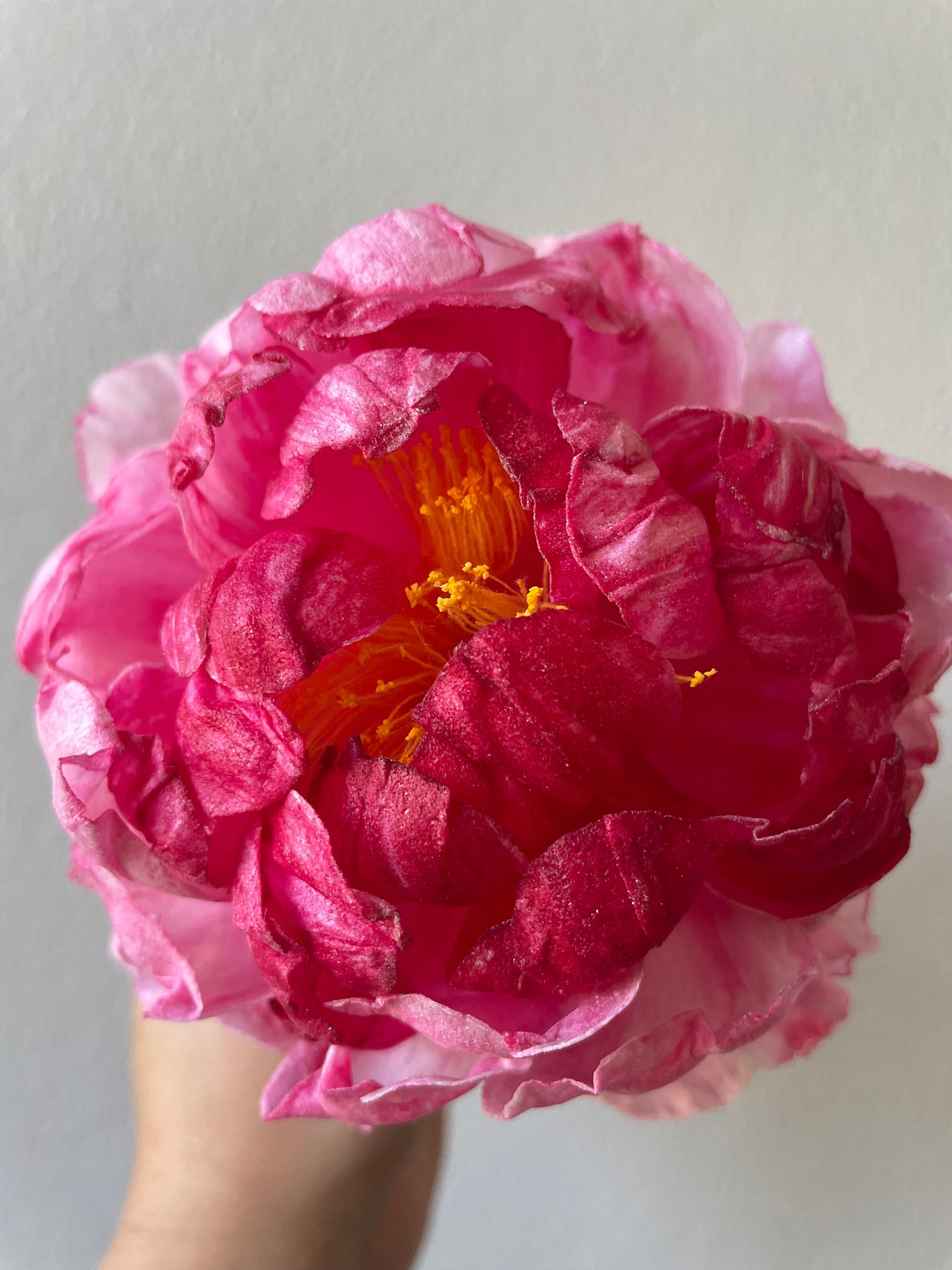 Wafer Paper Flower Peony - Etsy