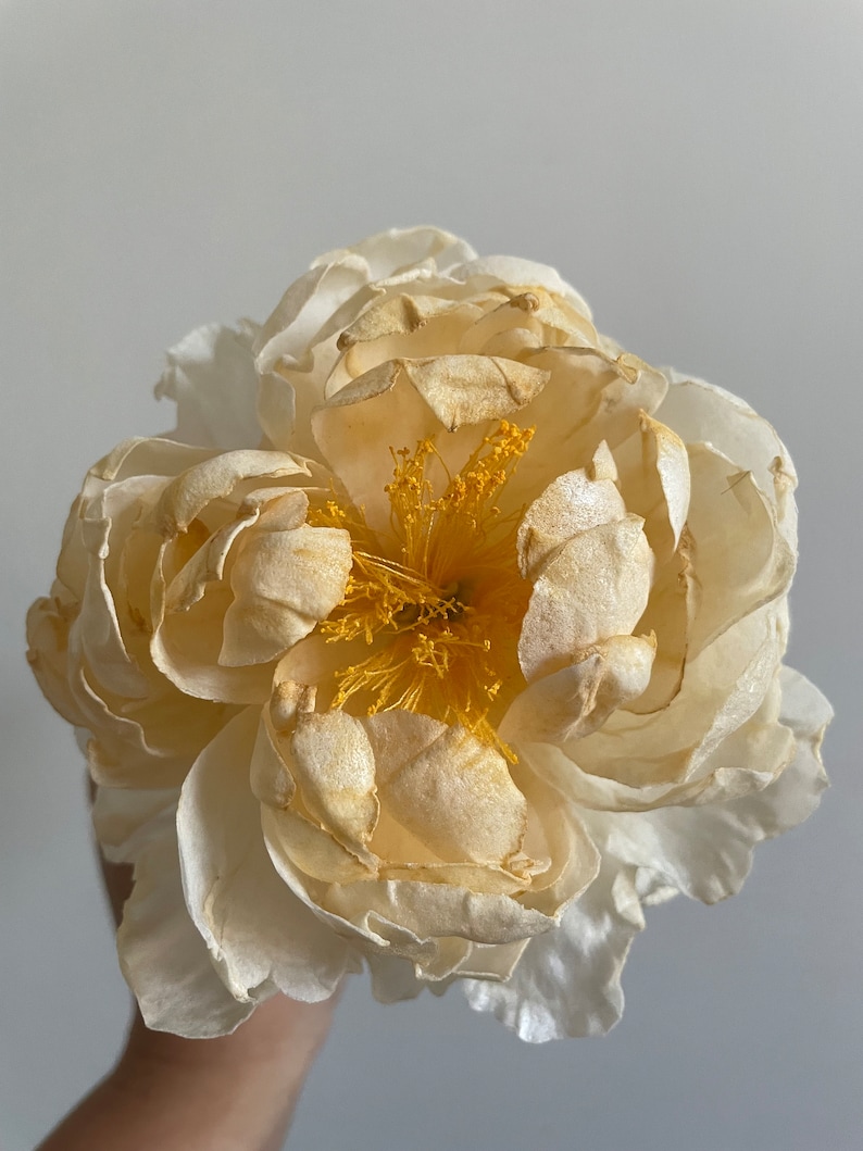 Wafer Paper Flower Peony - Etsy