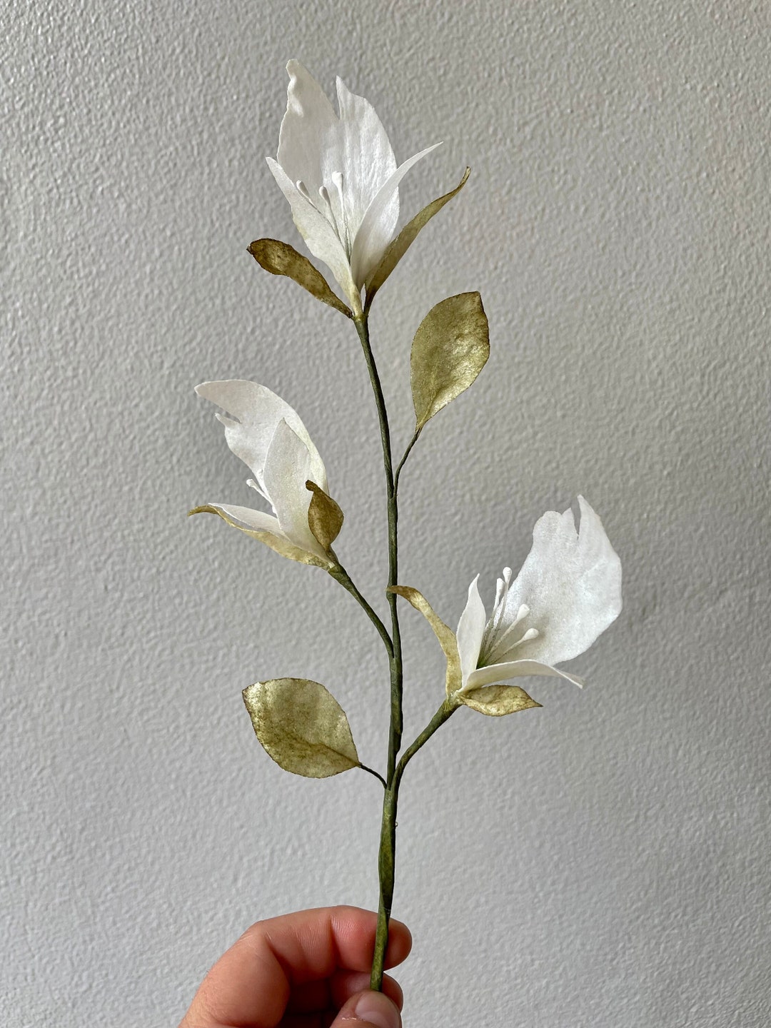 Wafer Paper Flower Branch - Etsy