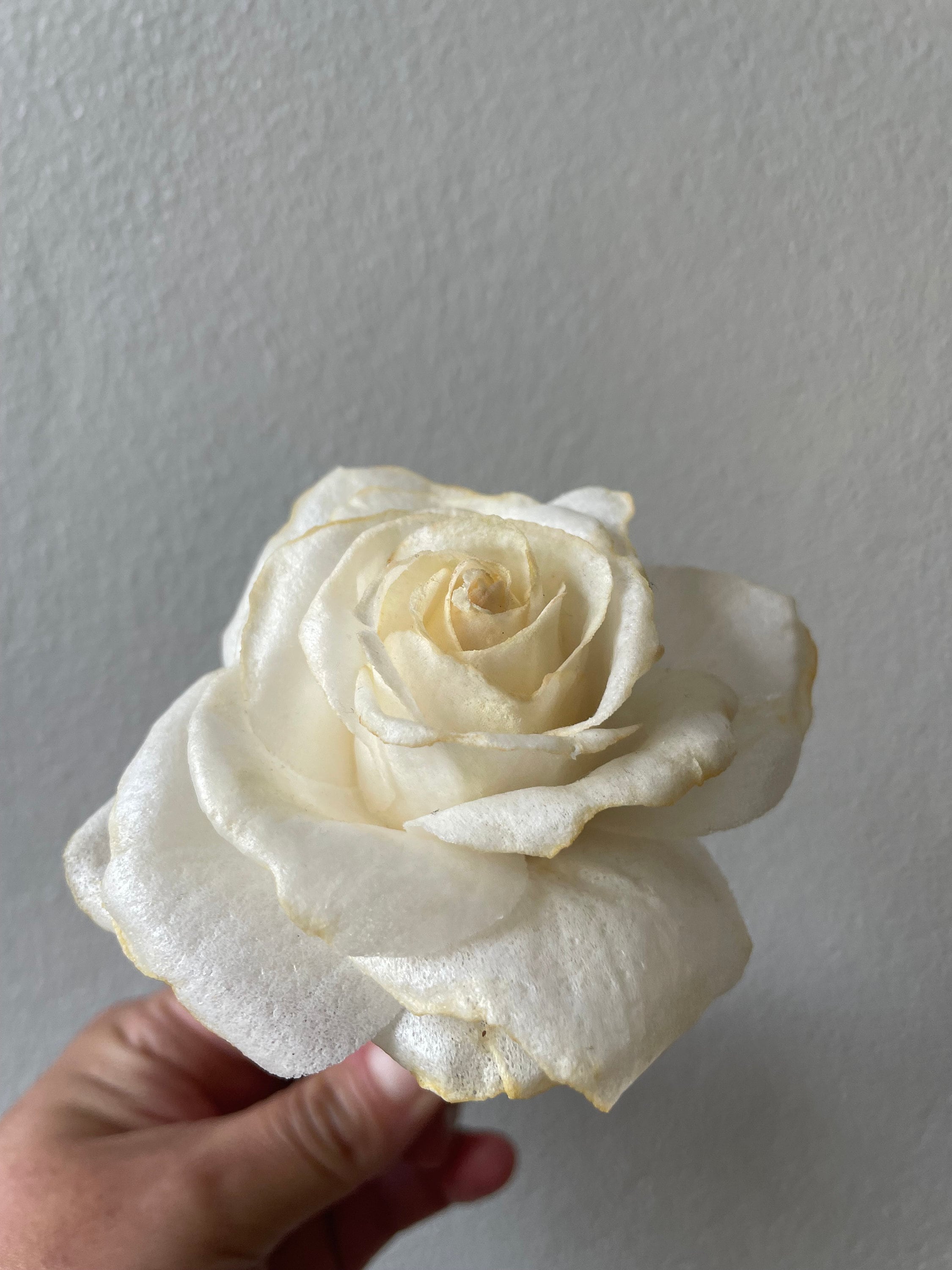 Wafer Paper Rose - Etsy