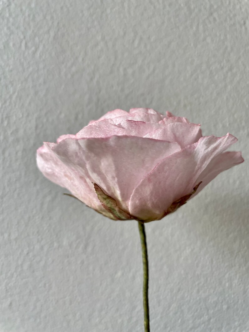 Wafer Paper Rose - Etsy