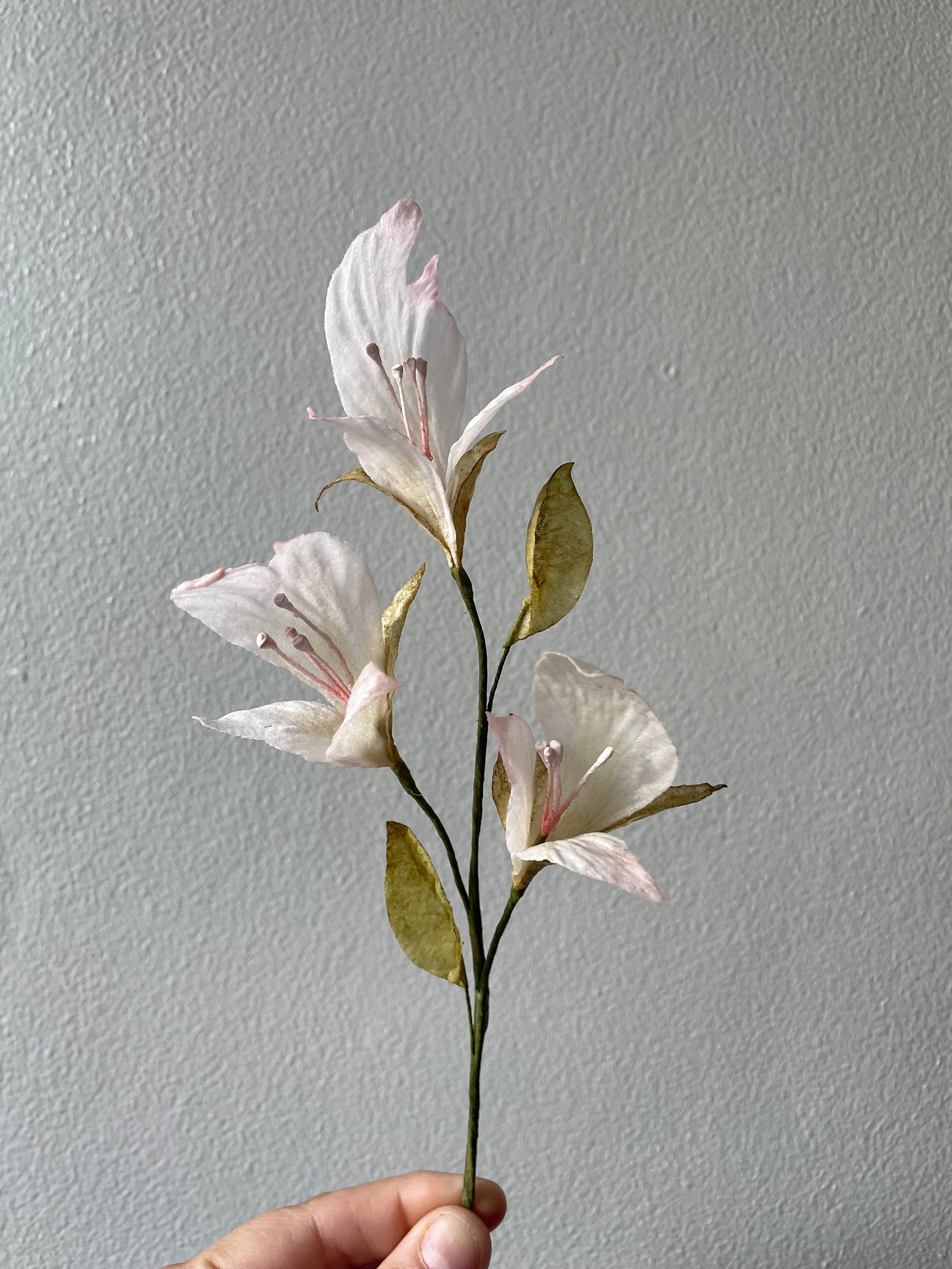 Wafer Paper Flower Branch - Etsy