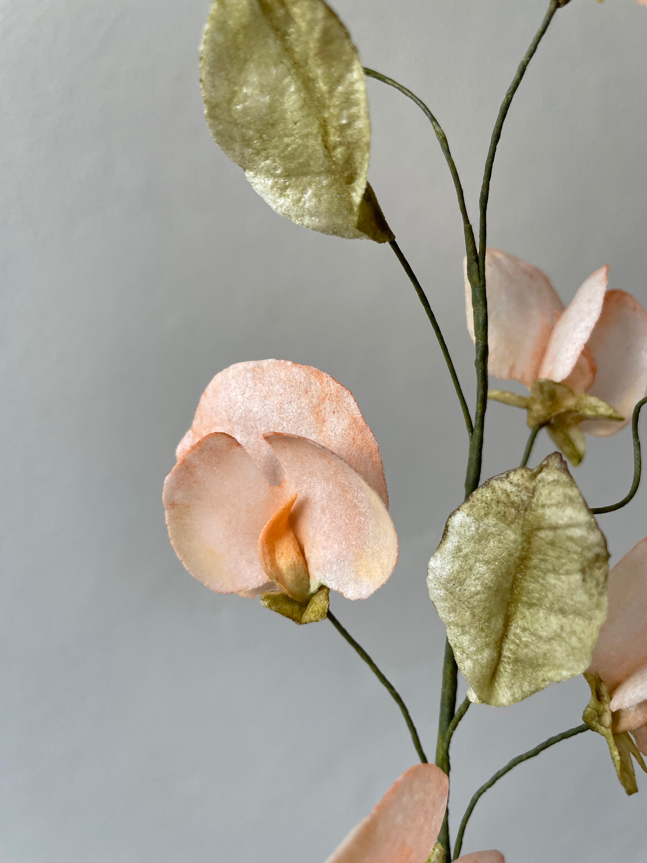 Wafer Paper Flower Branch Sweet Pea - Etsy