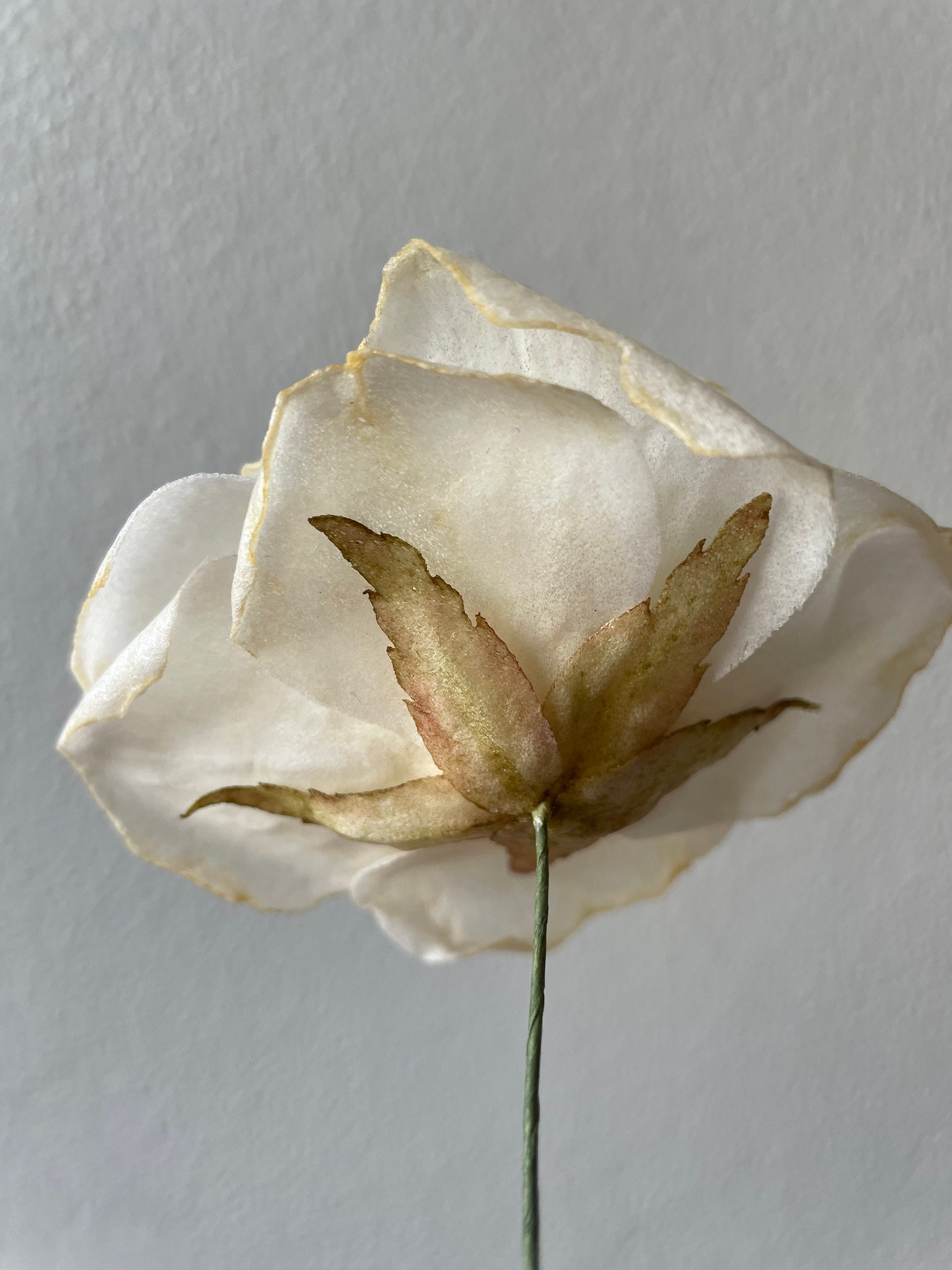 Wafer Paper Rose - Etsy