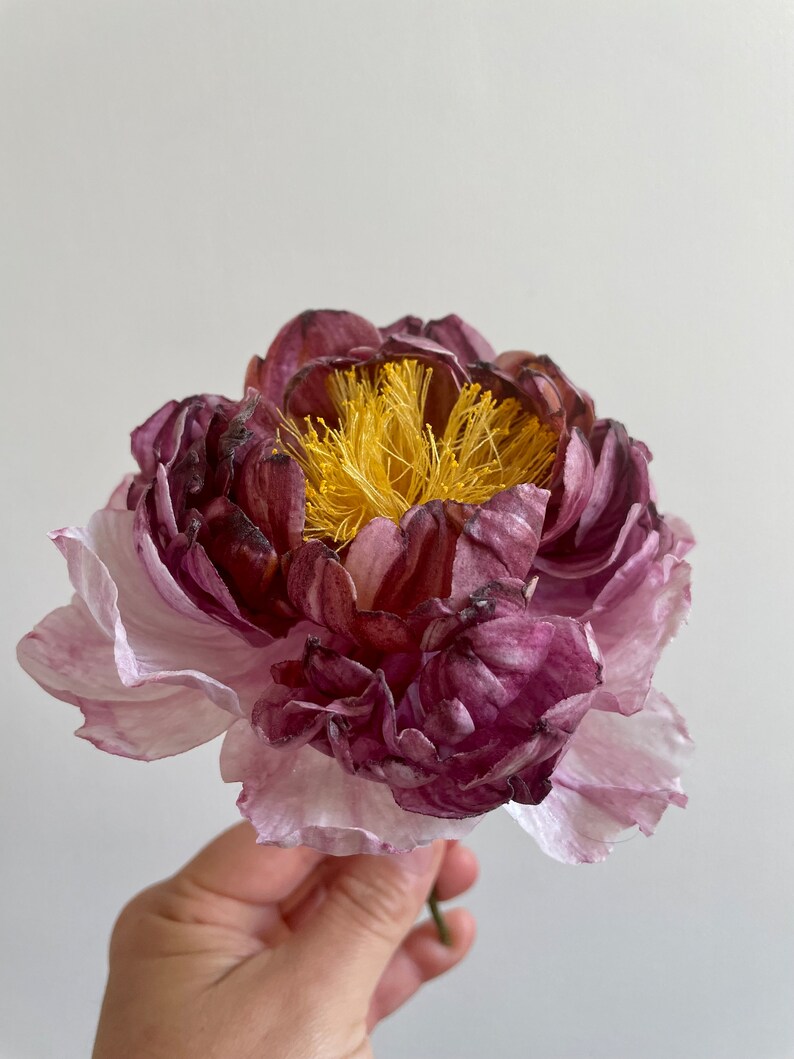 Wafer Paper Flower Peony - Etsy