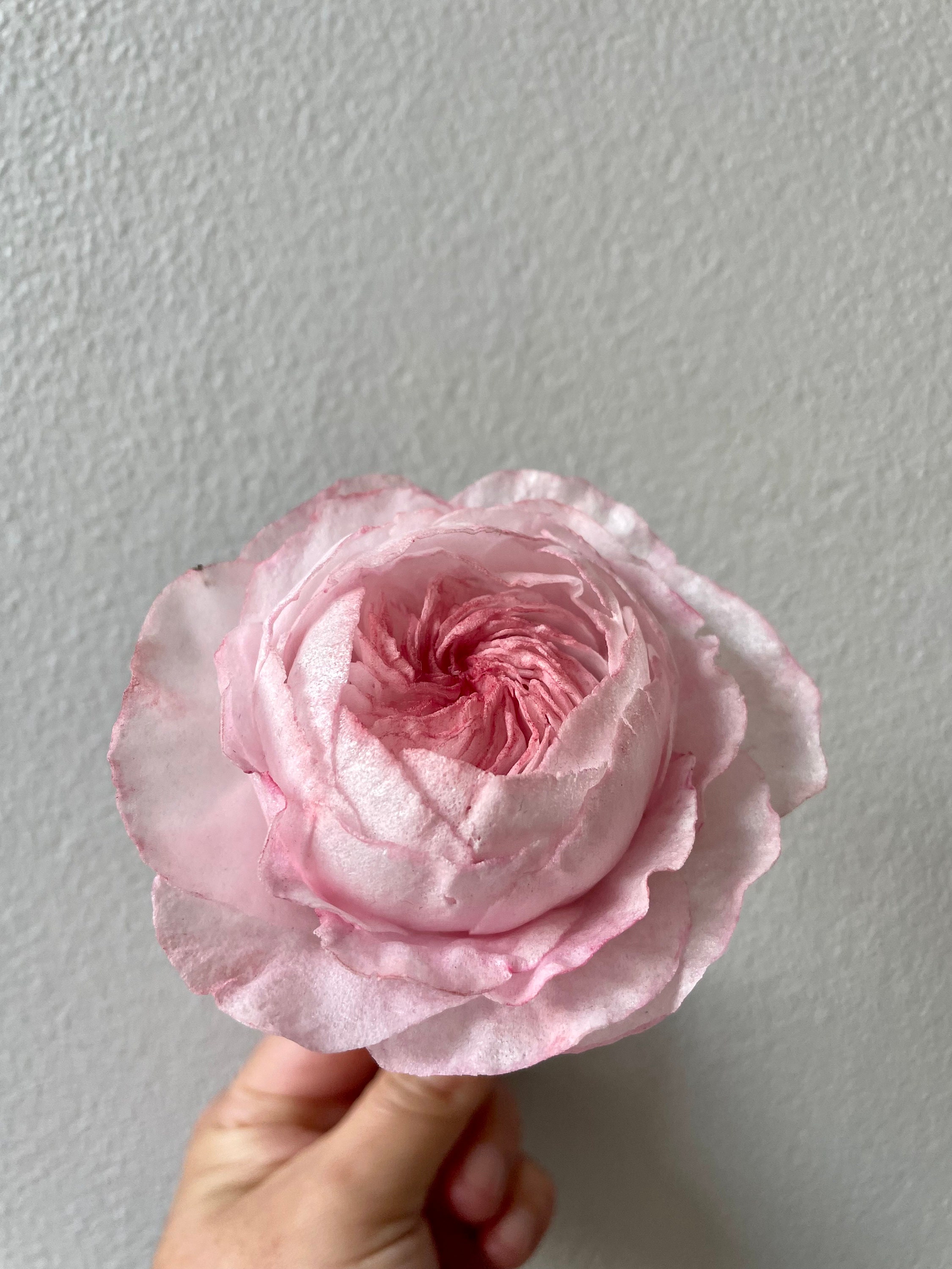 Wafer Paper Rose - Etsy