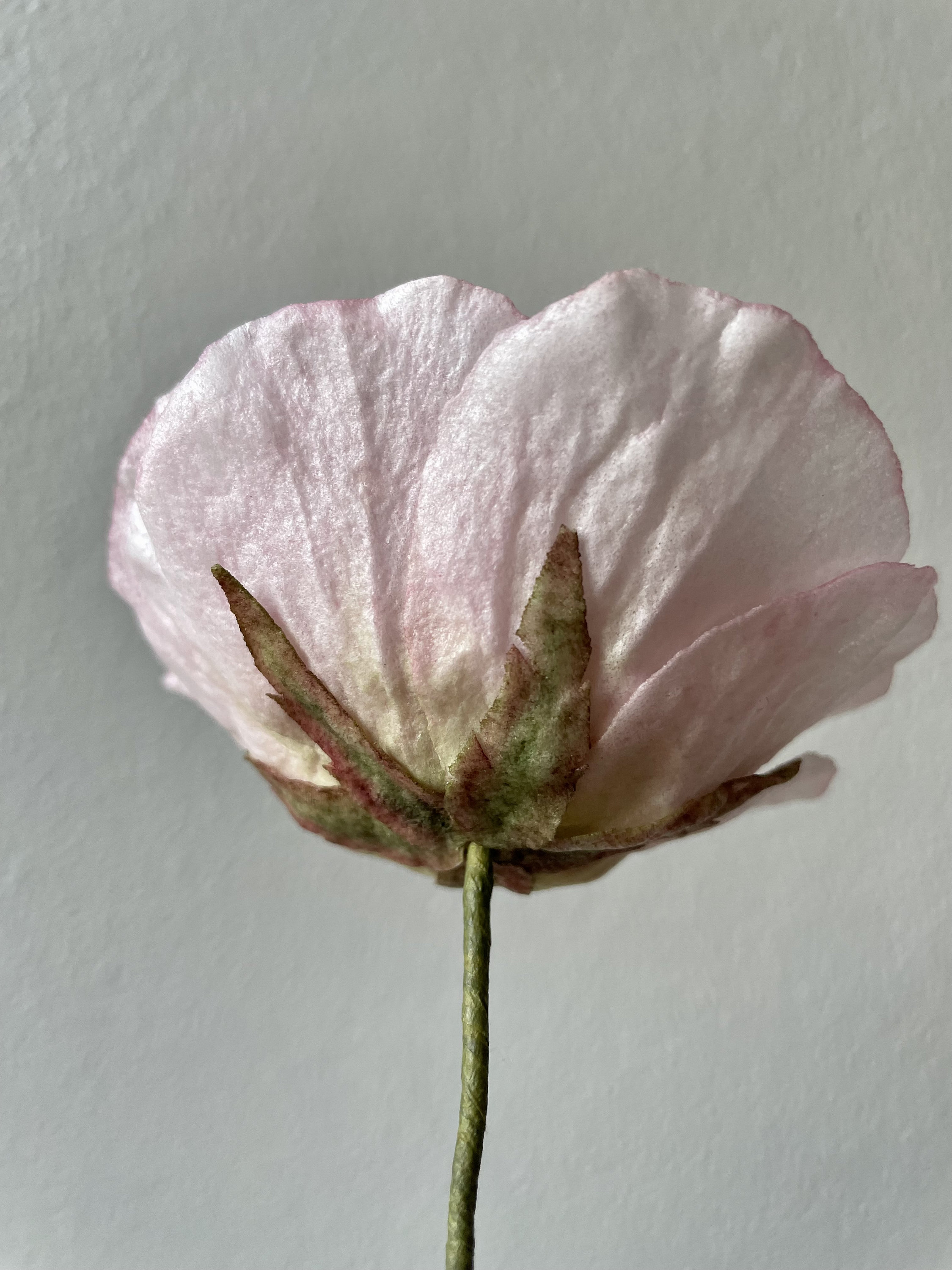 Wafer Paper Rose - Etsy