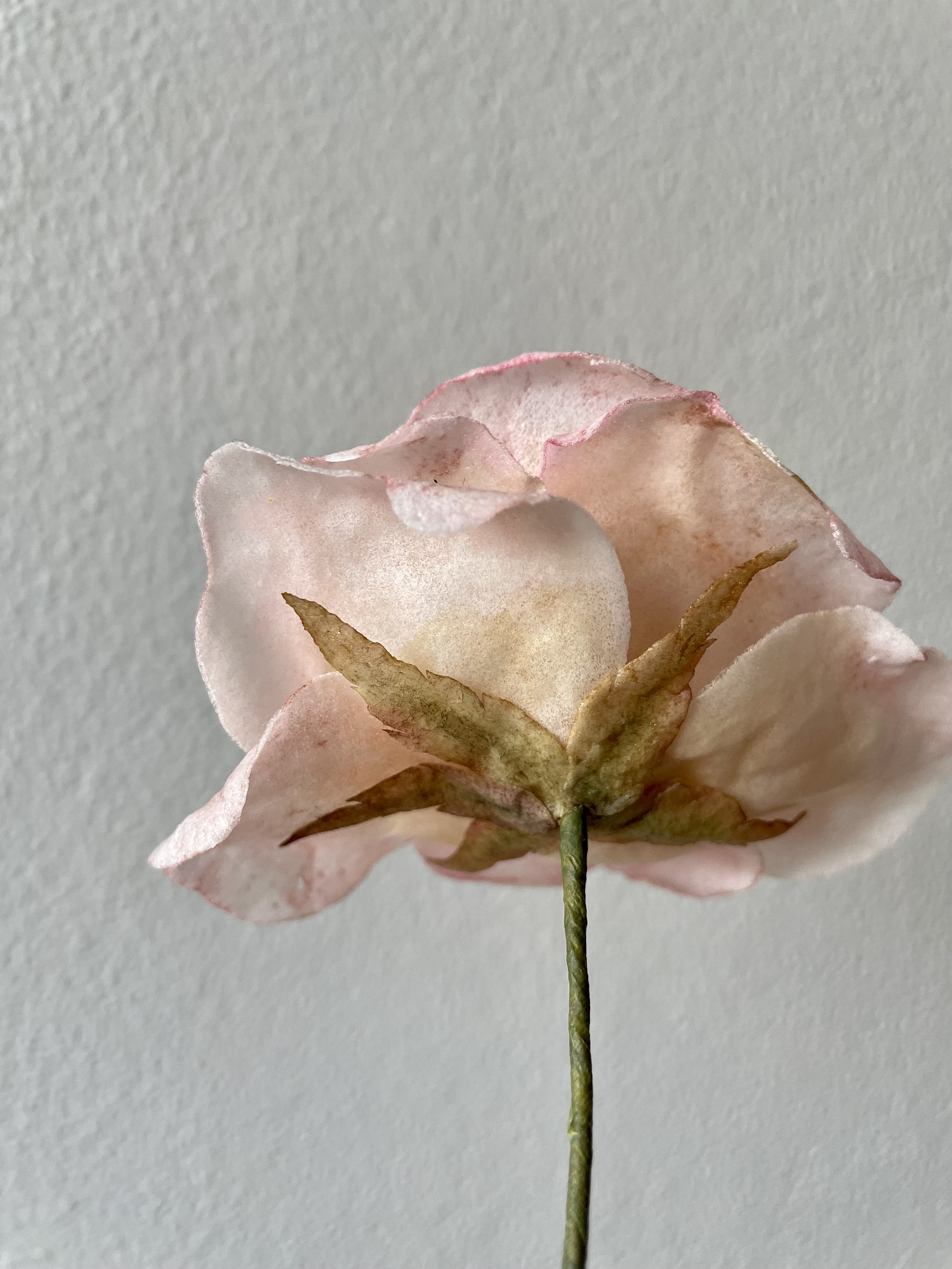 Wafer Paper Rose - Etsy