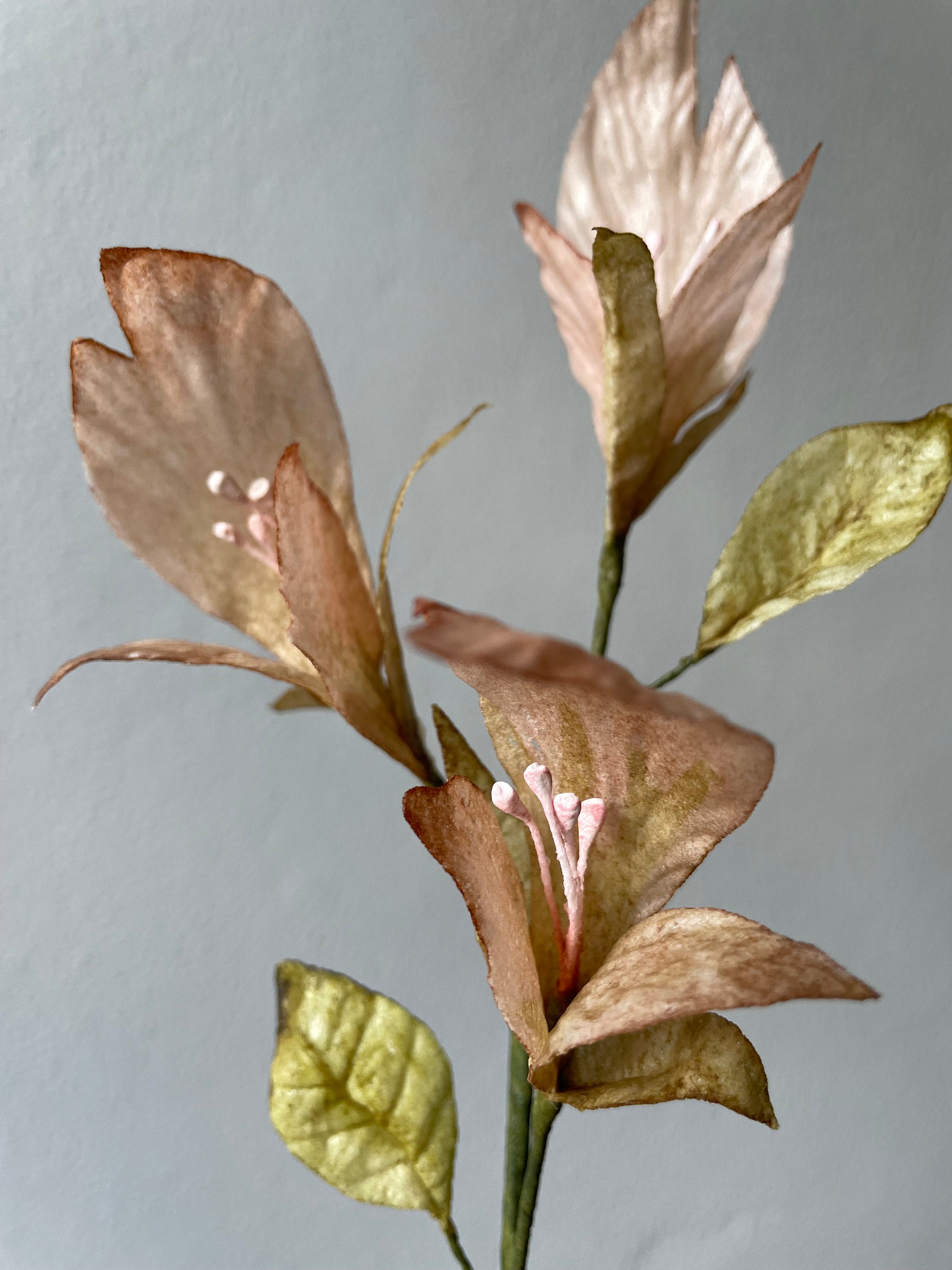 Wafer Paper Flower Branch - Etsy