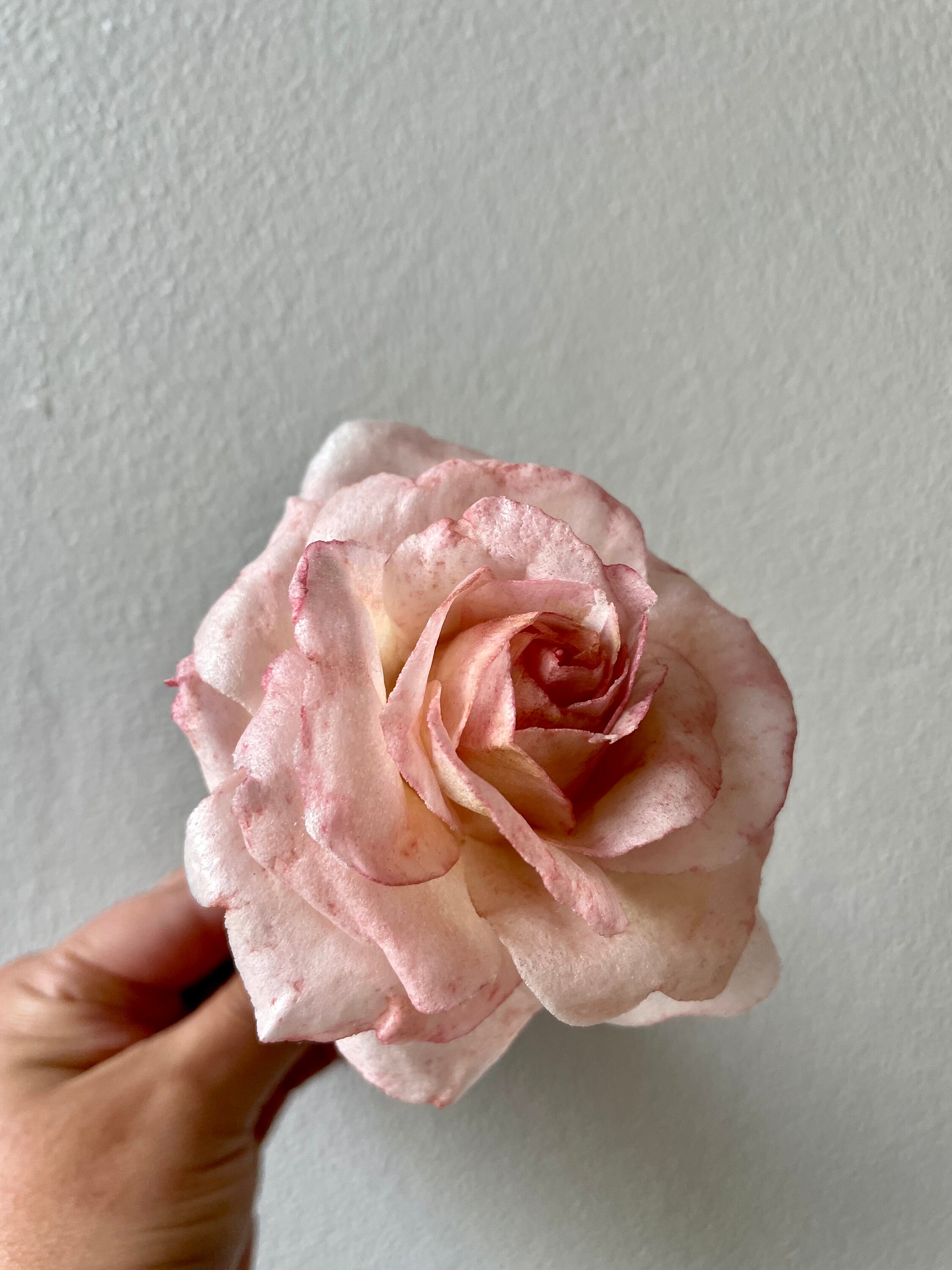 Wafer Paper Rose - Etsy