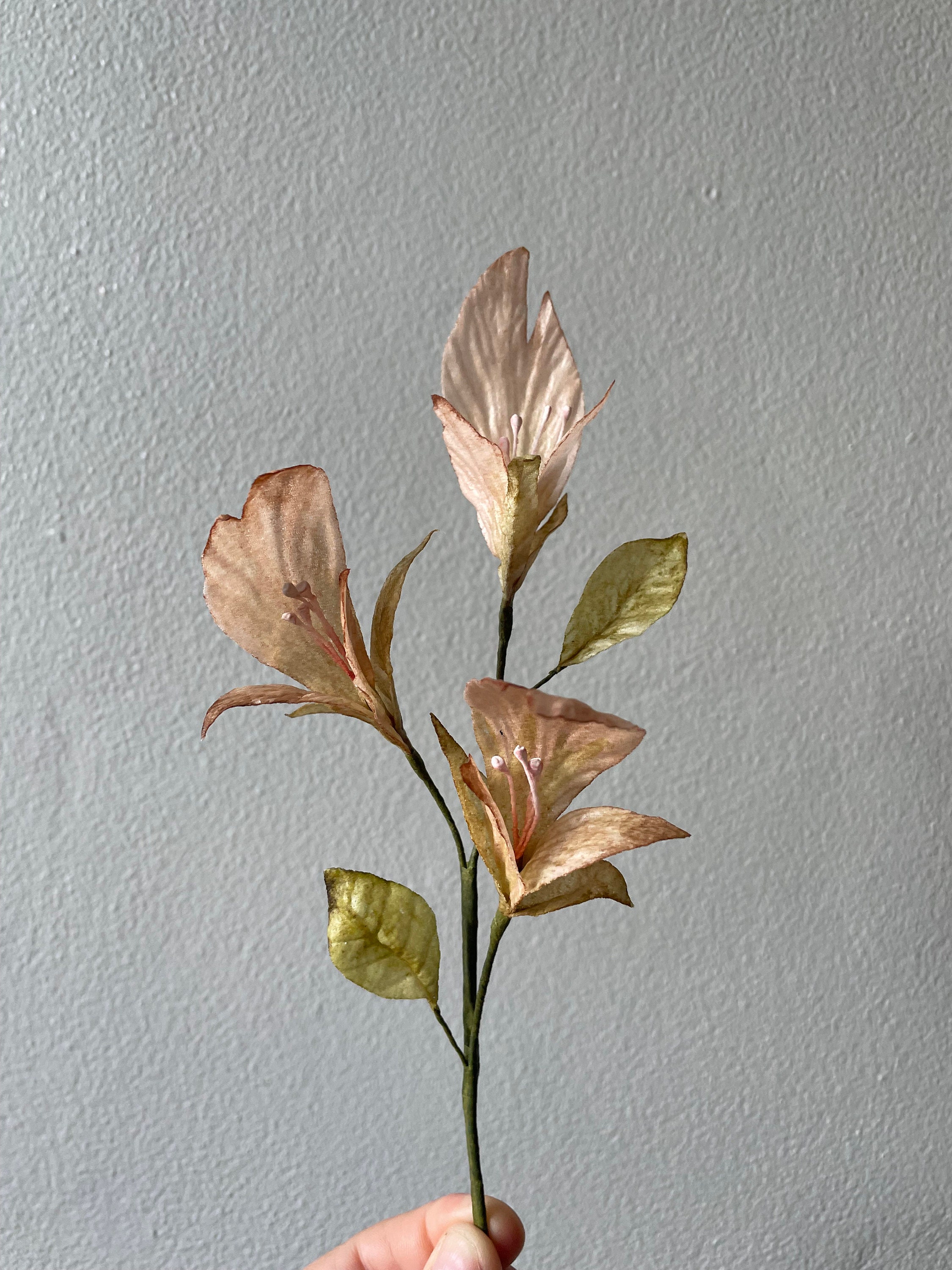 Wafer Paper Flower Branch - Etsy