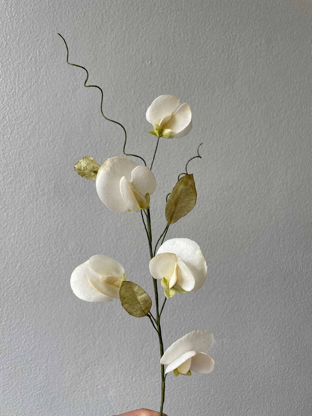 Wafer Paper Flower Branch Sweet Pea - Etsy