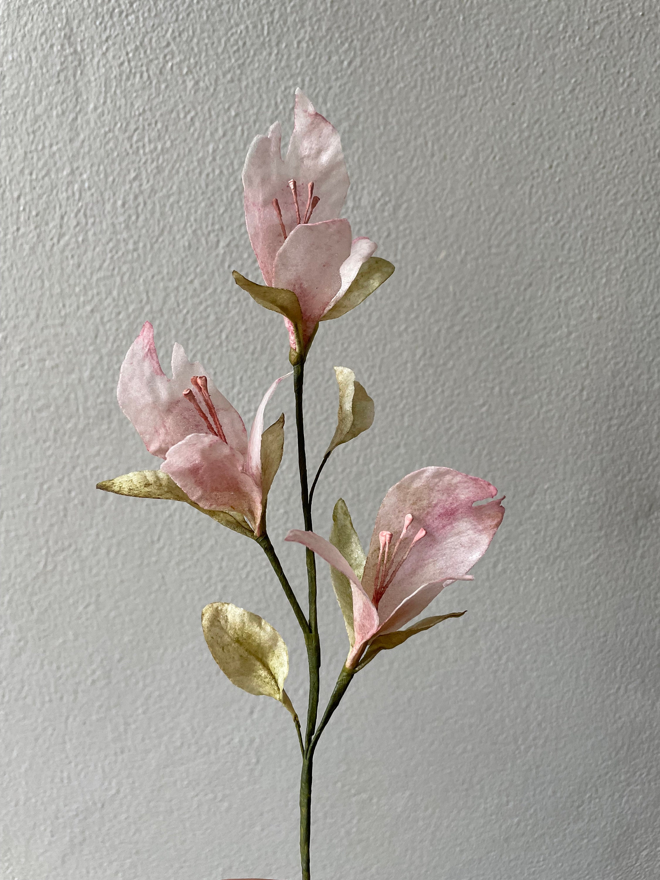 Wafer Paper Flower Branch - Etsy