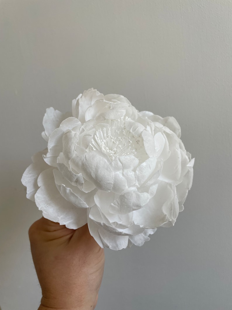 Wafer Paper Flower Peony - Etsy