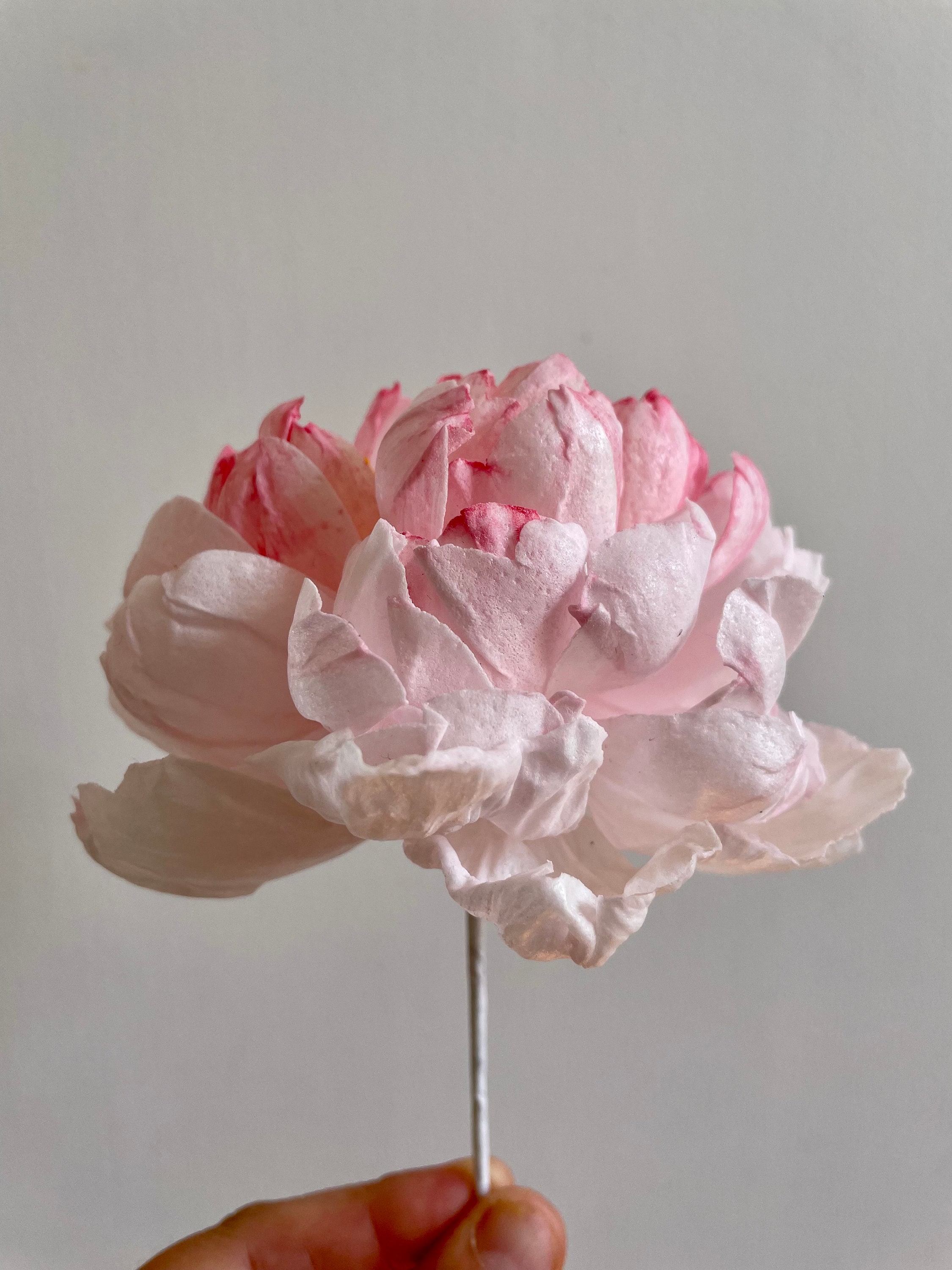 Wafer Paper Flower Peony - Etsy
