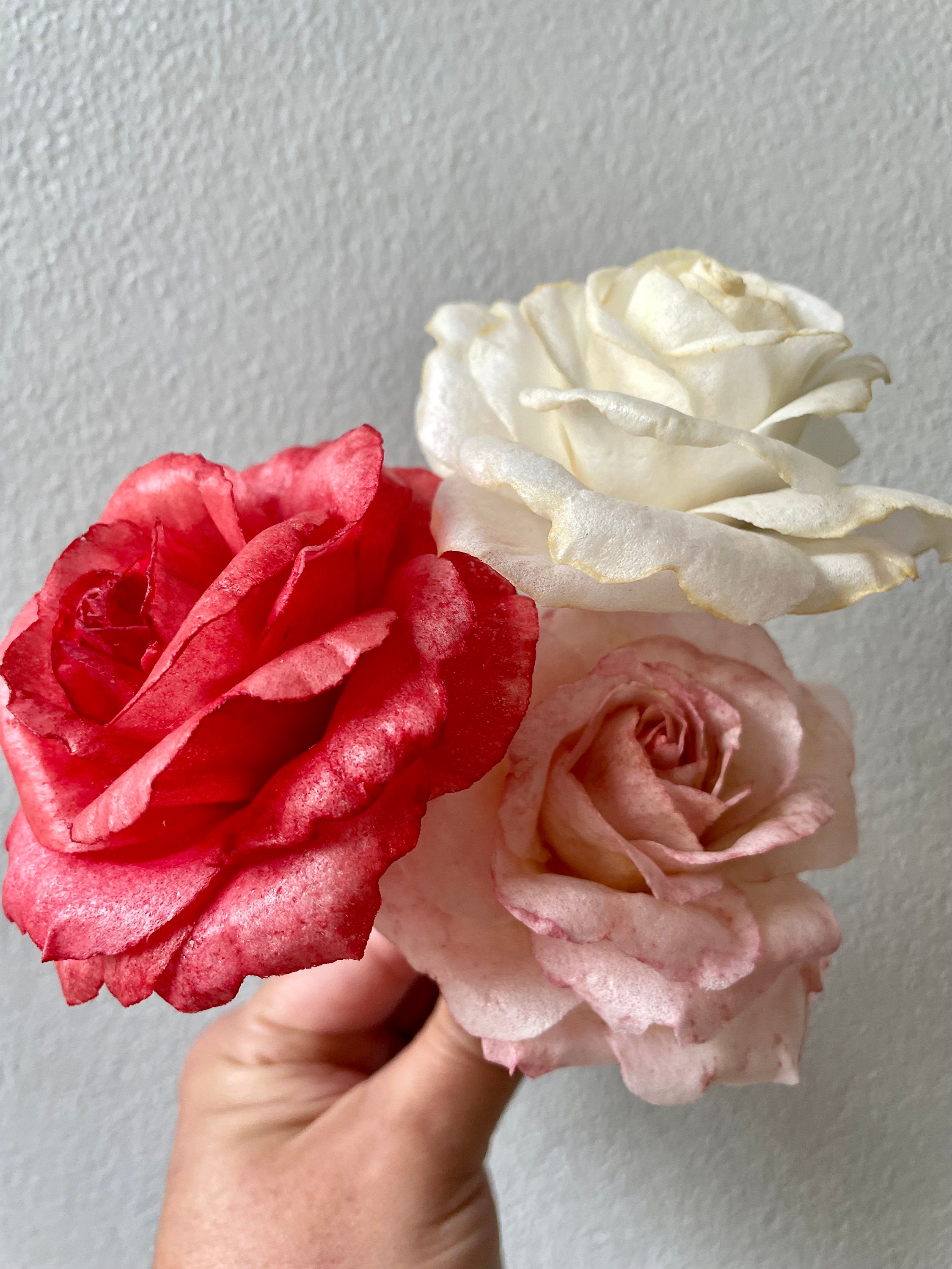 Wafer Paper Rose - Etsy