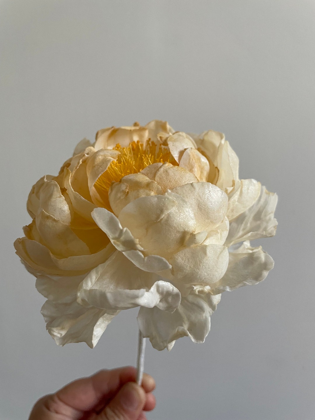 Wafer Paper Flower Peony - Etsy
