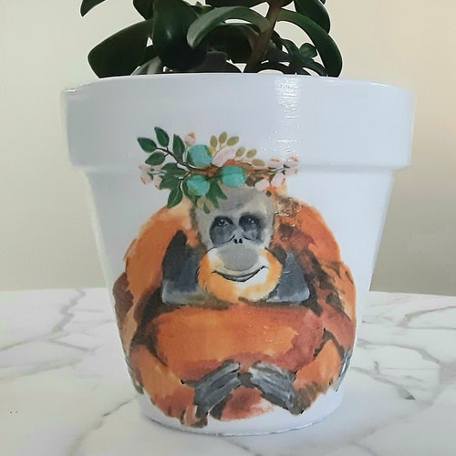Orangutan Clay Pot-6 Inch Orangutan Gifts Clay Pot Flower - Etsy