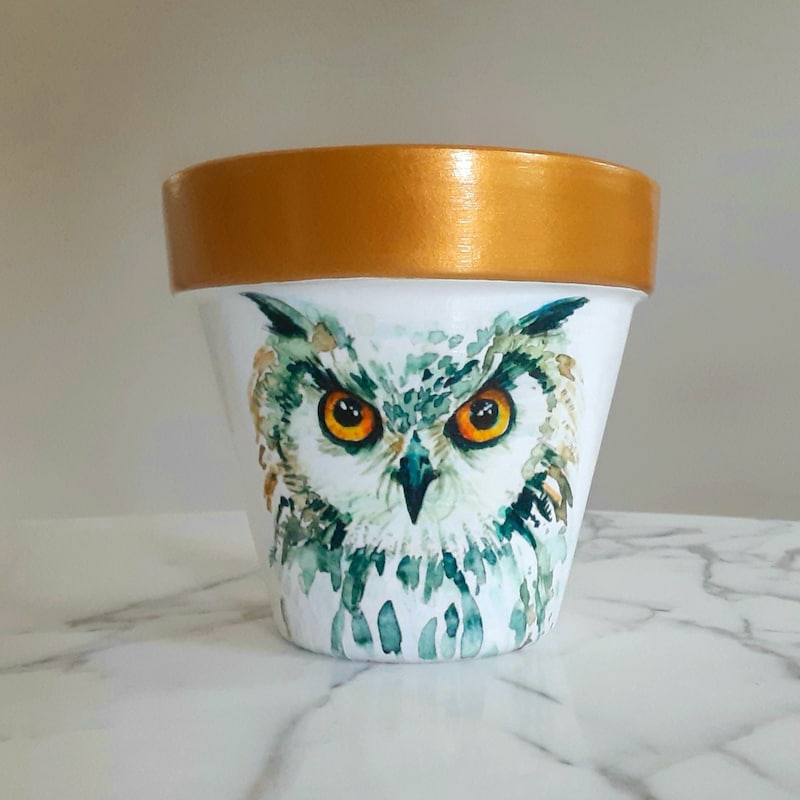Owl Planter - Etsy