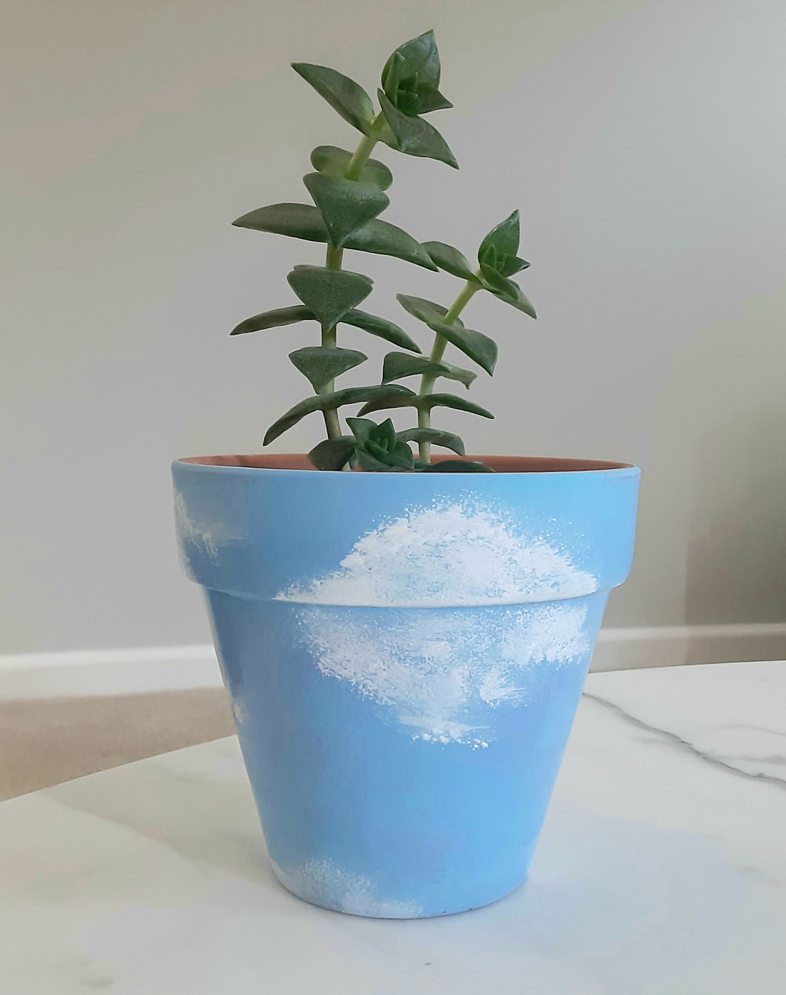 Sky Terracotta Pot-4.5 Inch Sky Earth Decor Sky Art Cloud | Etsy