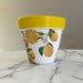 Lemon Planter-6, Lemon Plant Pot, Orange Flowerpot, Fruit Themed ...