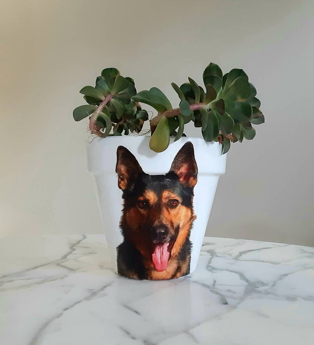 Personalized German Shepherd Clay Pot: Custom Dog Planter (6 Inch) - Etsy
