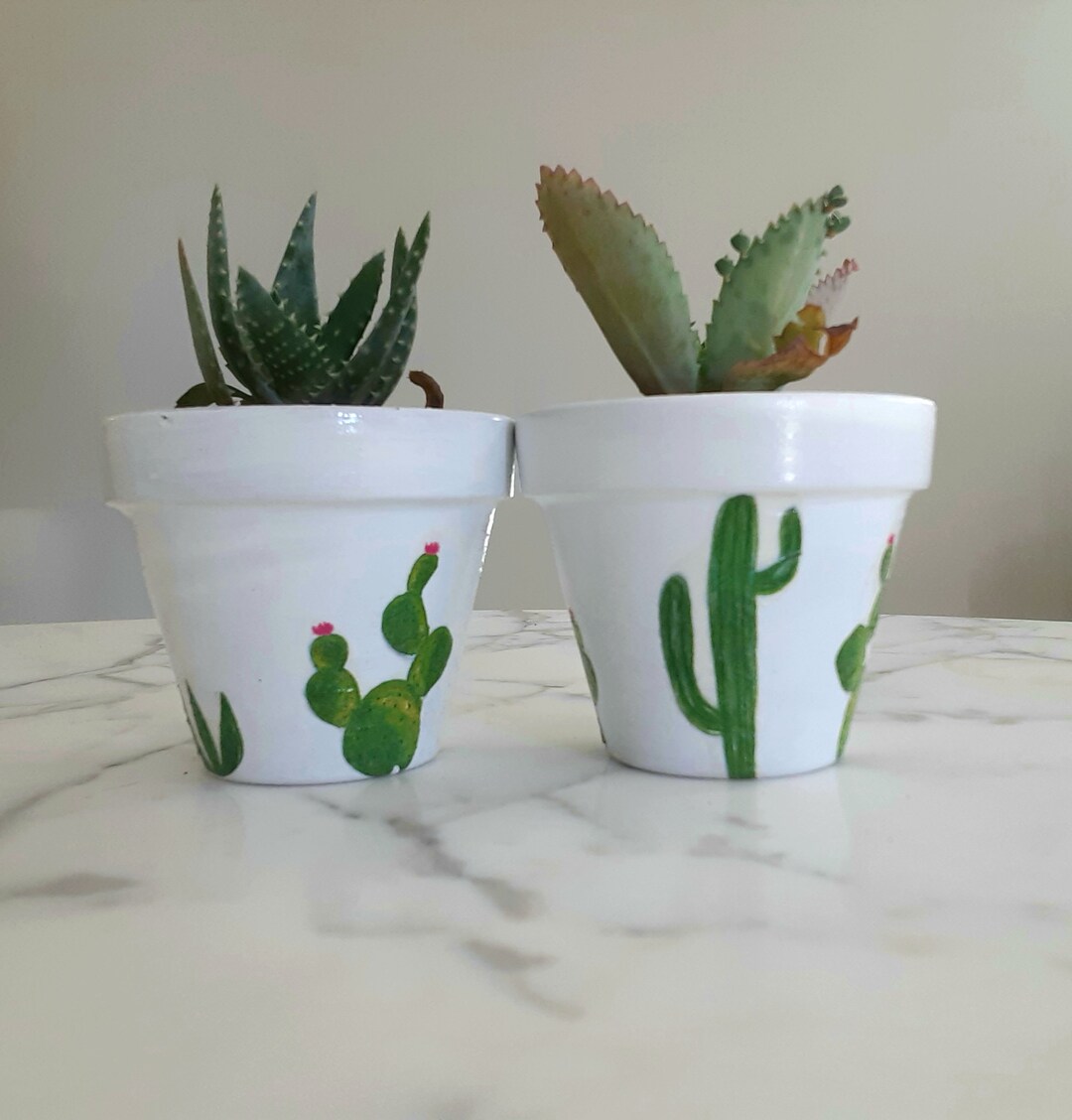 Set of 2-cactus Clay Pots-3.5 Inch Cactus Decor Succulent - Etsy