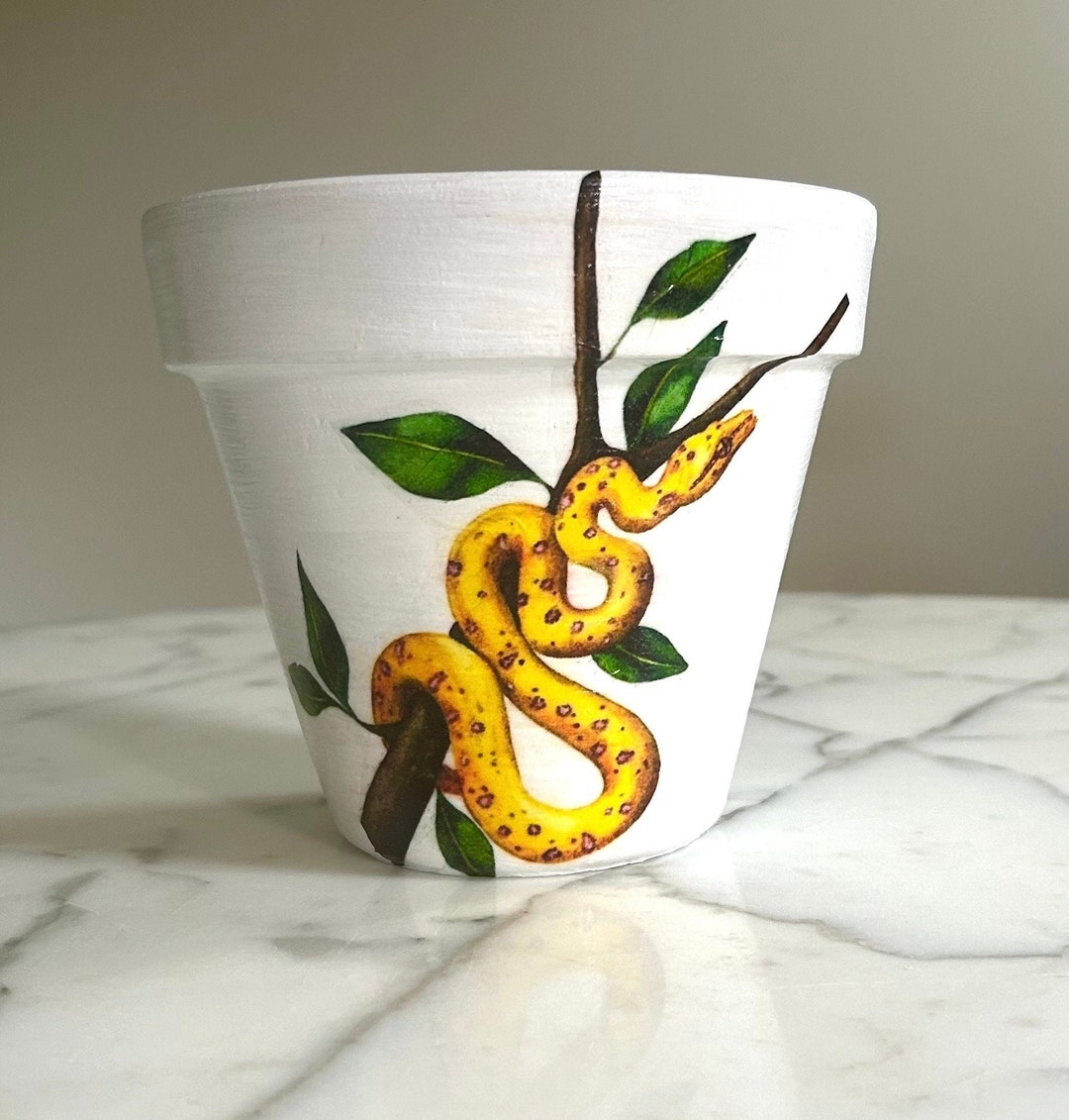 Snake Planter-6", Snake Flowerpots, Rainforest Decor, Animal Lover ...
