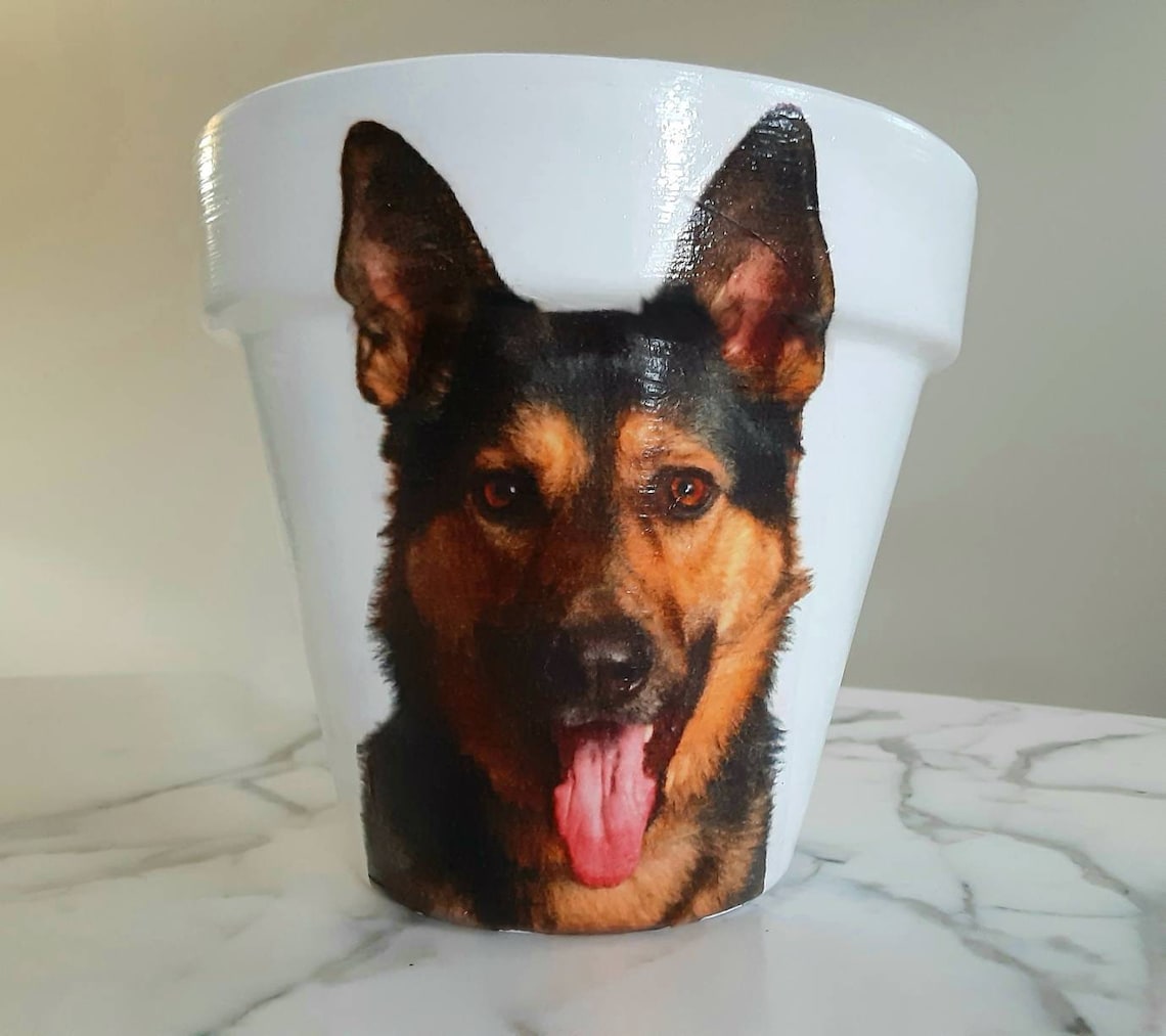 Personalized German Shepherd Clay Pot: Custom Dog Planter (6 Inch) - Etsy