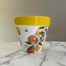 Lemon Planter-6, Lemon Plant Pot, Orange Flowerpot, Fruit Themed ...