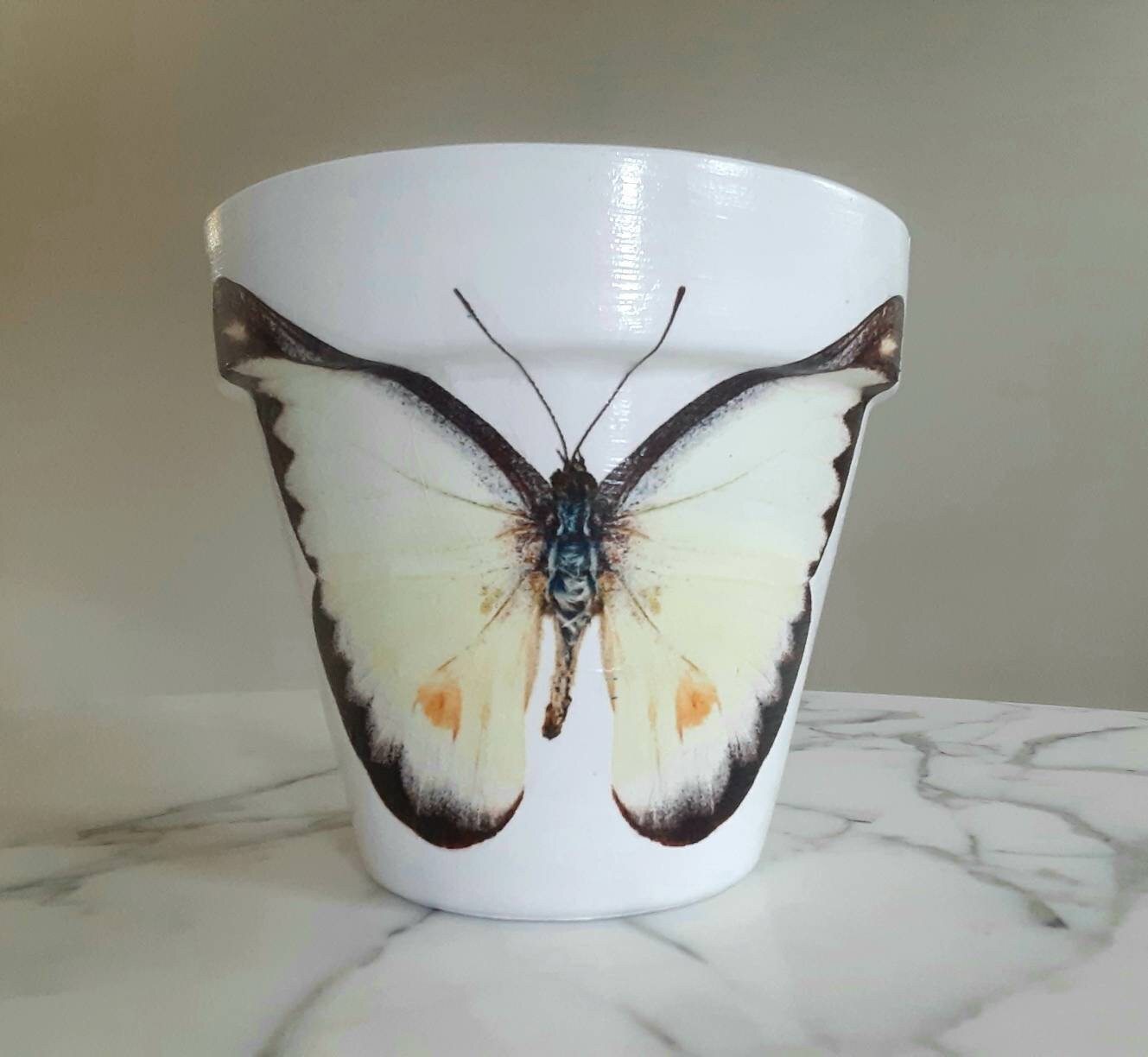 Butterfly Clay Pot-6 Inch Butterfly Flower Pot Butterfly - Etsy