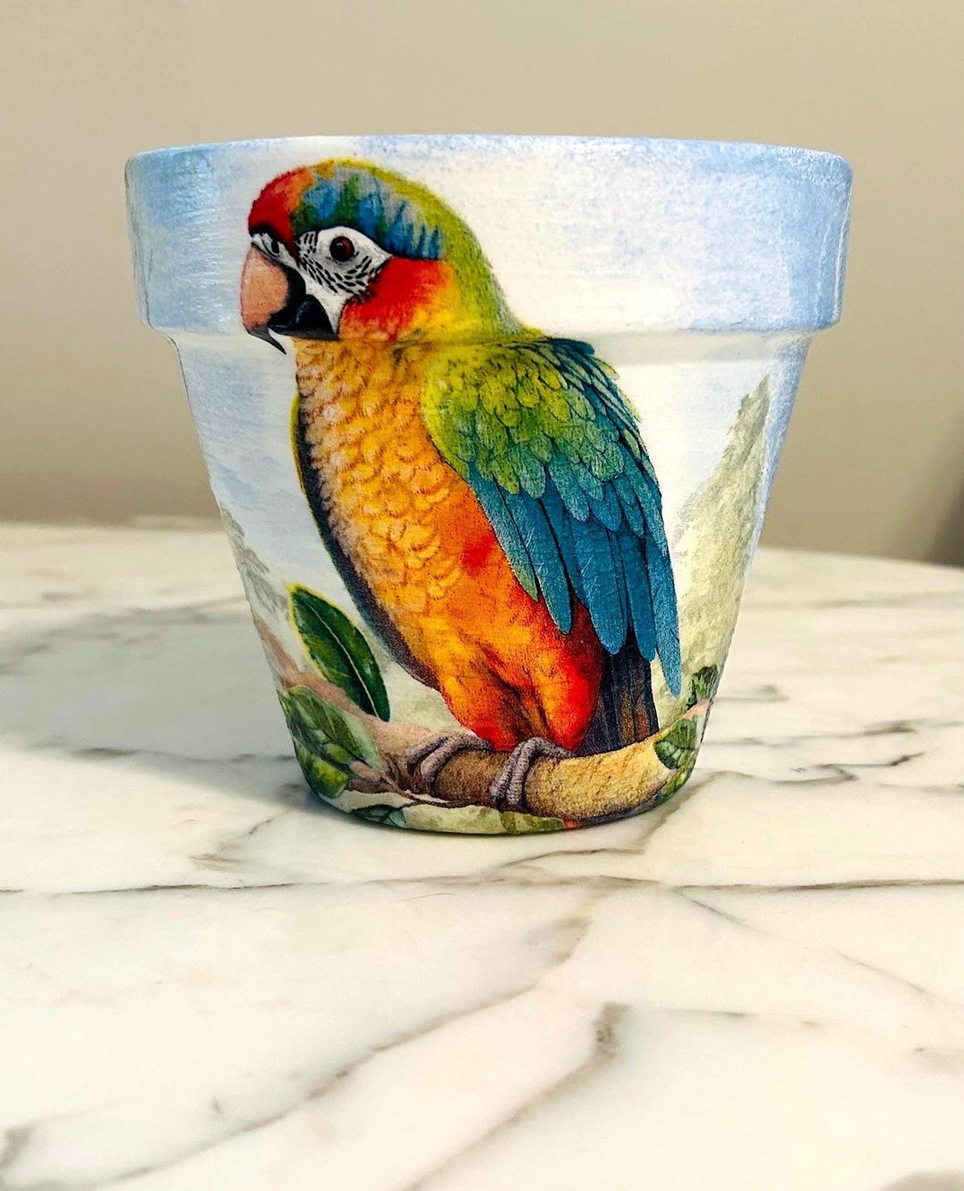 Macaw Parrot Flower Pot: Decoupage Planter, 6 Inch, Bird Gifts - Etsy