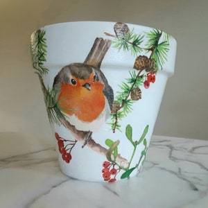 Robin Clay Pot-6 Inch, Robin Flower Pot, Robins, Robin Decor ...