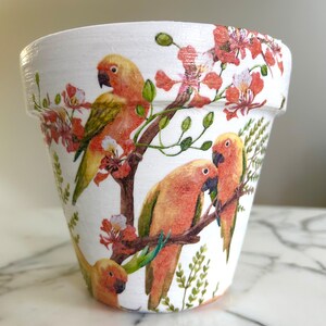 Parrot Flowerpot, Parrot Gifts, Tropical Planters, Bird Lover Gift ...
