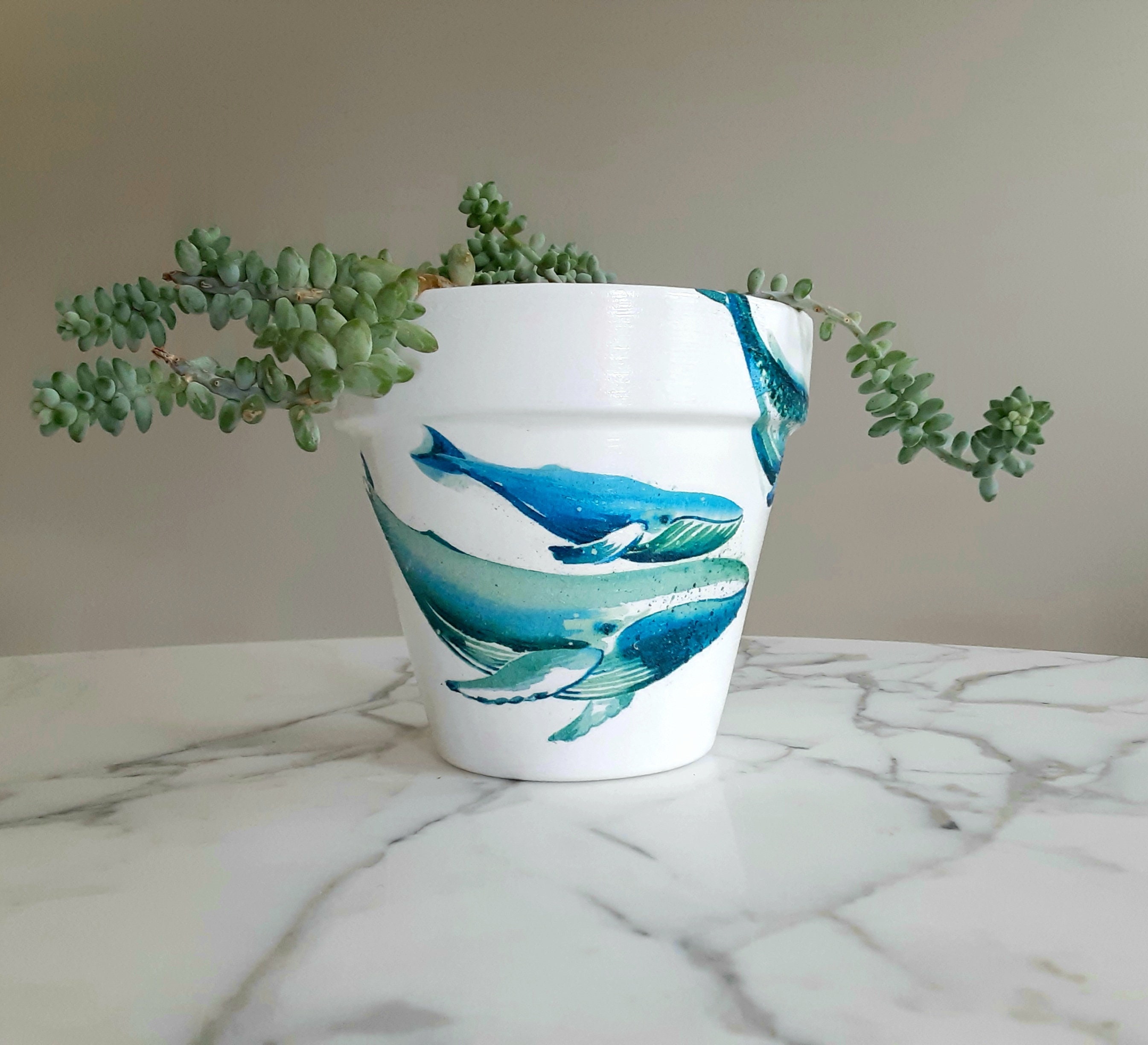Whale Flower Pot-6 Inch Whale Clay Pot Whales Decoupage - Etsy