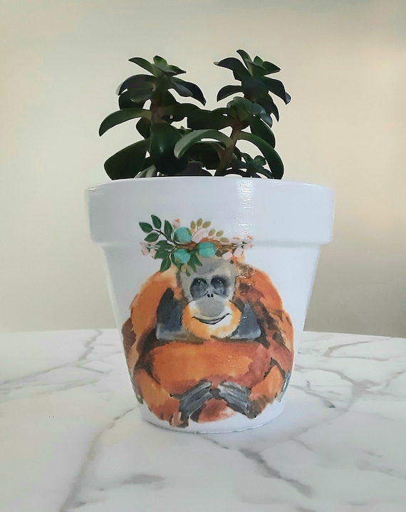 Orangutan Clay Pot-6 Inch Orangutan Gifts Clay Pot Flower - Etsy