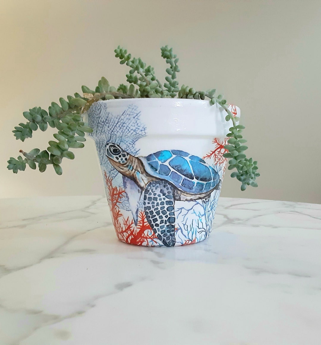 Sea Turtle Clay Pot-6 Inch Terracotta Pot Sea Turtles Sea - Etsy Canada