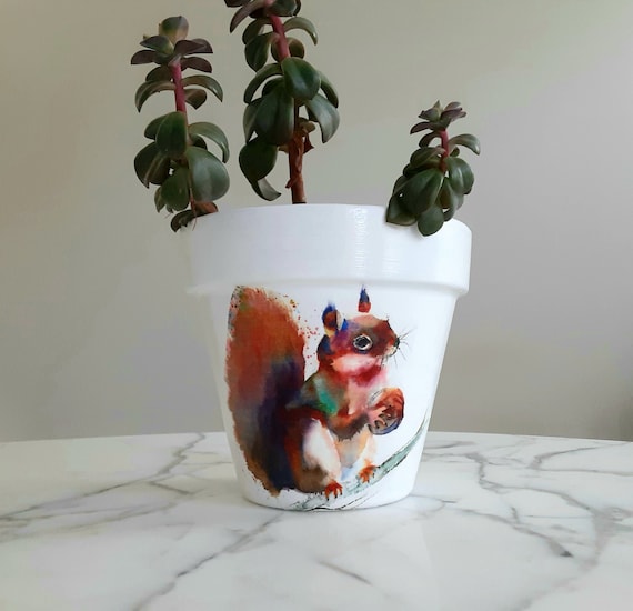 Squirrel Plant Pot-6 Inch Squirrel Planters Squirrel Gifts - Etsy