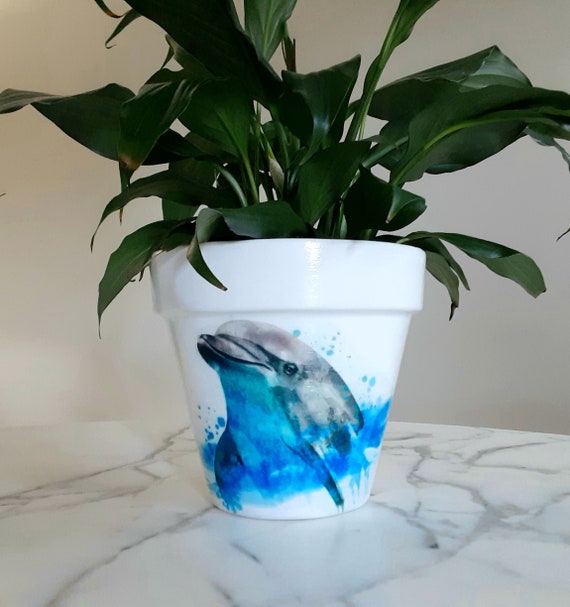 Dolphin Planter-6 Inch Dolphin Flowerpot Dolphin Gifts - Etsy