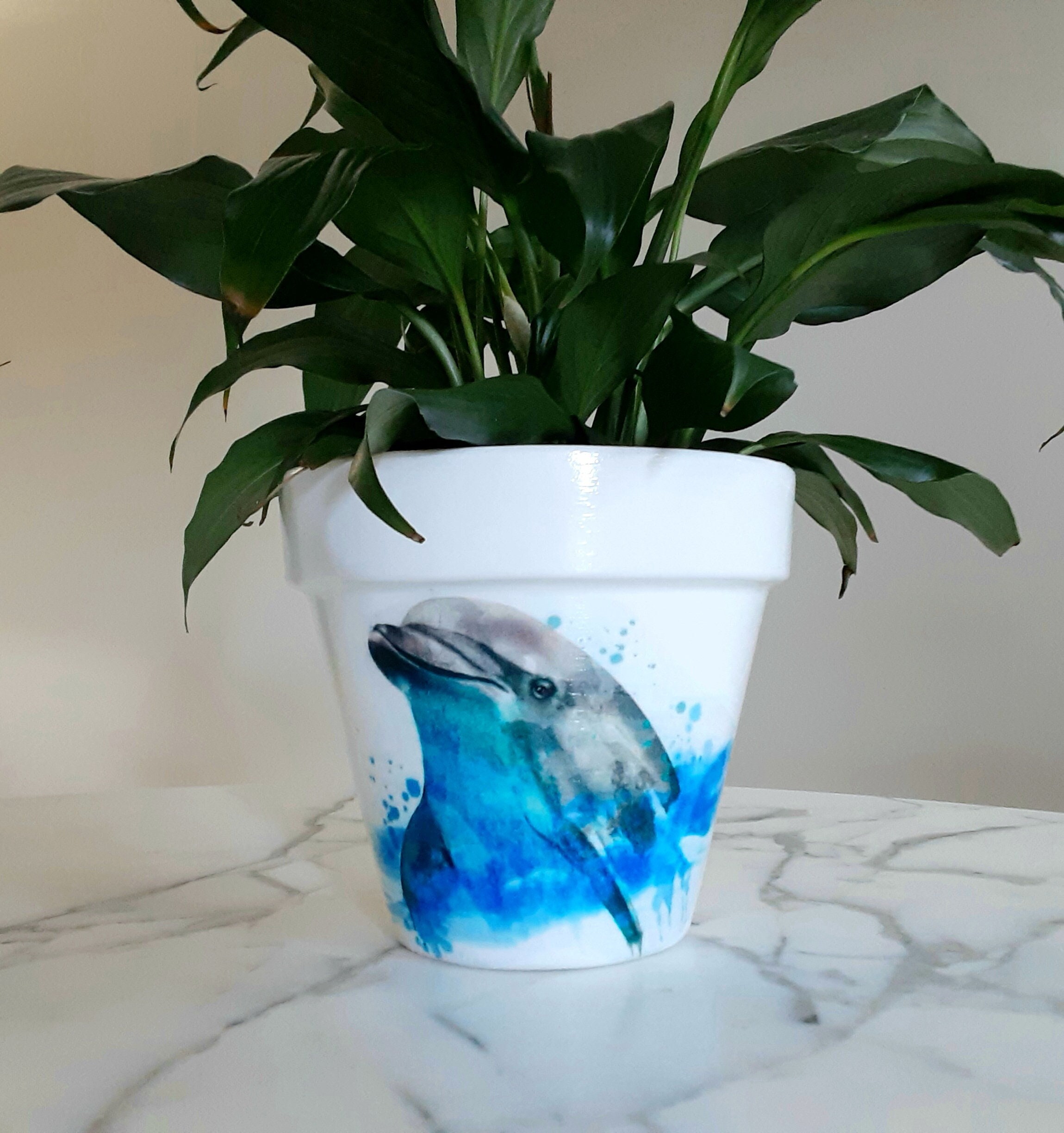 Dolphin Planter-6 Inch Dolphin Flowerpot Dolphin Gifts - Etsy