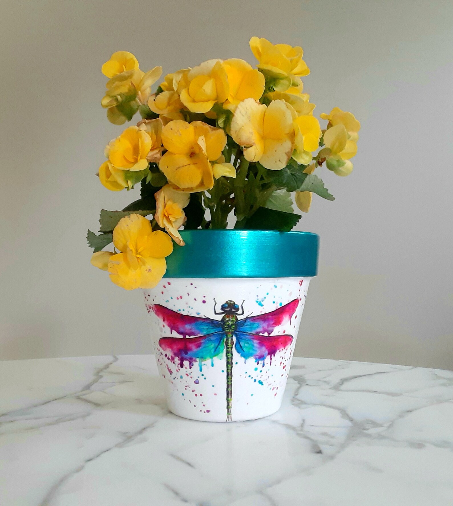 Dragonfly Plant Pot-6 Inch Dragonfly Planter Dragonfly - Etsy