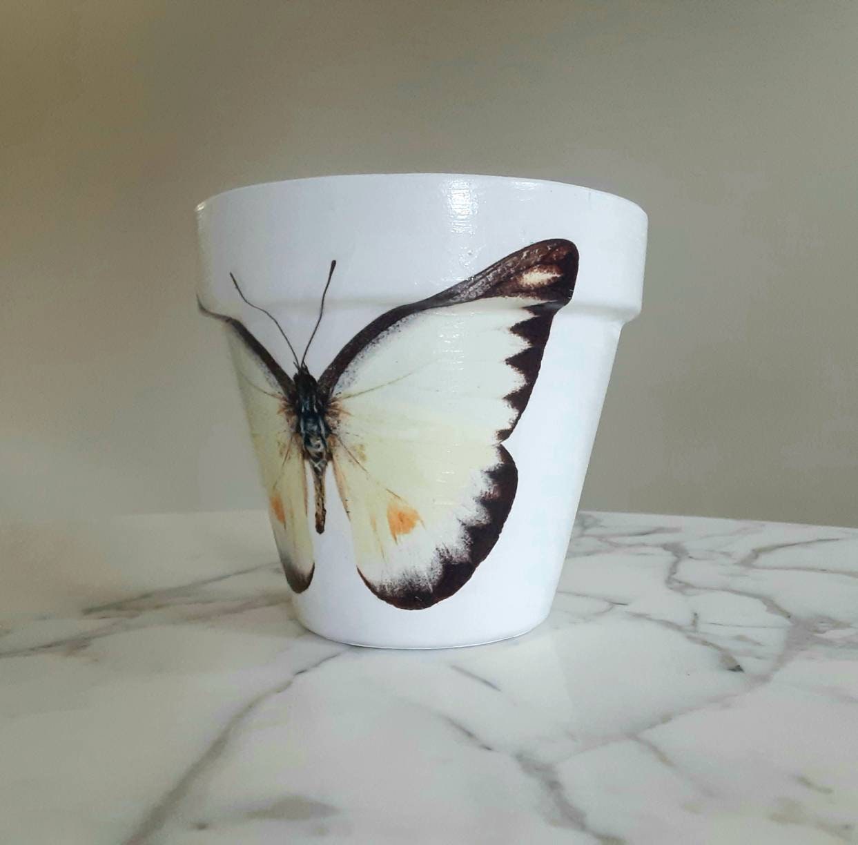 Butterfly Clay Pot-6 Inch Butterfly Flower Pot Butterfly - Etsy