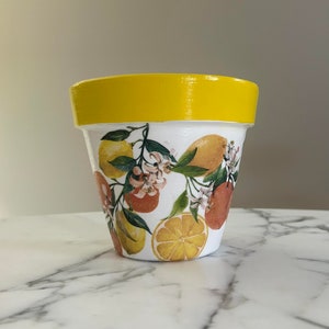 Lemon Planter-6, Lemon Plant Pot, Orange Flowerpot, Fruit Themed ...